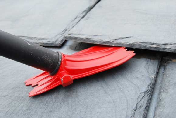 Scott Dalzell won the Little Red Ripper!