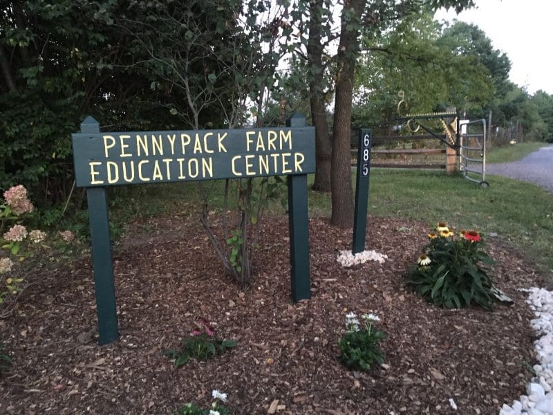 Why we use produce from our local Pennypack Farm. ‣ MyFixitUpLife