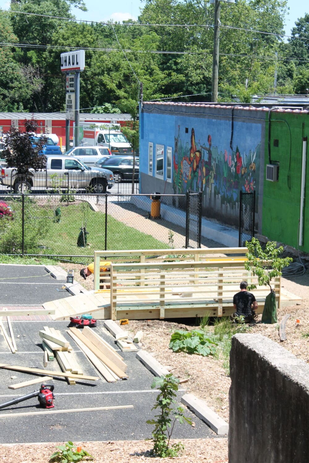 Anti-mosquito light, inaccessible sidewalks, gardening – MyFixitUpLife