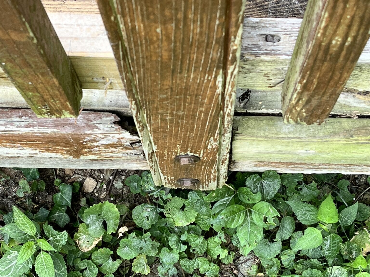 Fixing a Flip: Deck makeover with cable railing system ‣ MyFixitUpLife