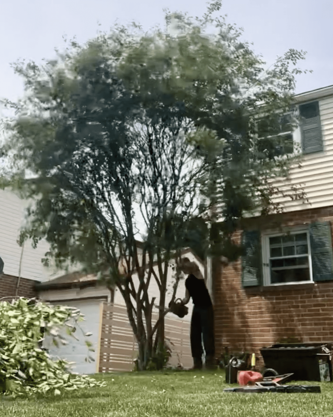 How to safely cut a tree down by yourself with a chainsaw